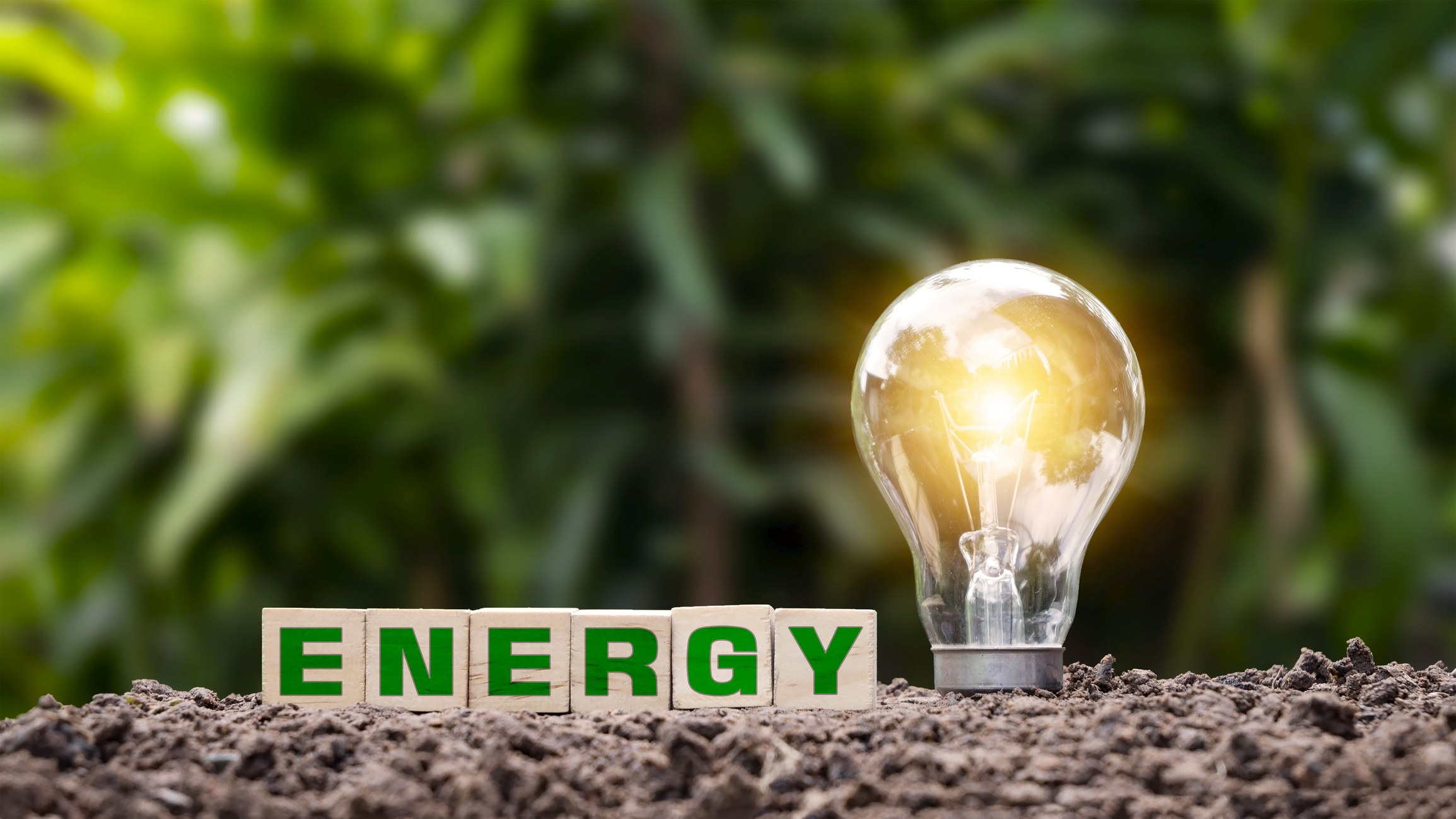 Effacement énergétique : optimisez la recharges de véhicules